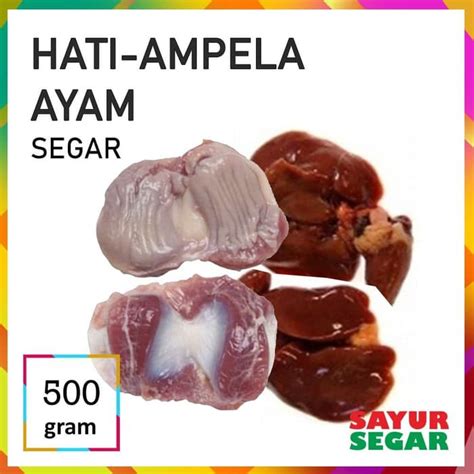 Jual Hati Ampela Ayam [500g] Shopee Indonesia