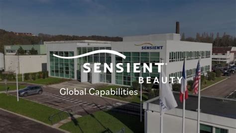 Future Of Oral Care Innovations And Trends Sensient Beauty