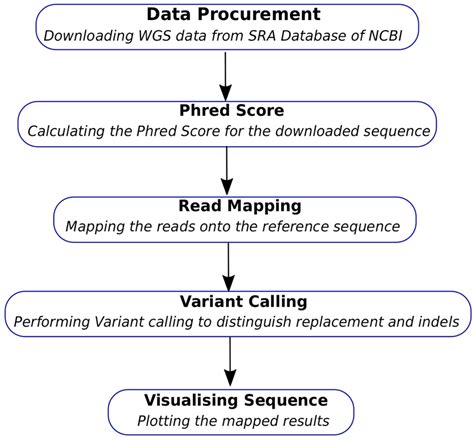Process Overflow Of The Proposed Pipeline The Flowchart Represents The Download Scientific