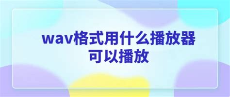 wav格式用什么播放器可以播放？ 哔哩哔哩