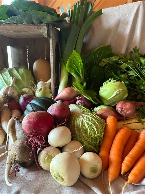 Learn More About The History Of Community Supported Agriculture Csas
