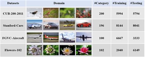 The Statistics Of Fine Grained Datasets And Some Examples Are Shown For