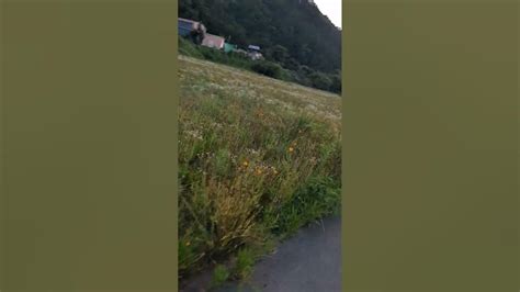 안동시 낙동강 자전거 길 반 자연 상태로 조성되어 산책자전거길 최고의 풍광 Youtube