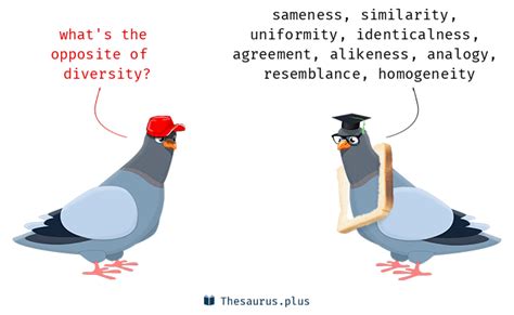 26 Diversity Antonyms Full List Of Opposite Words Of Diversity