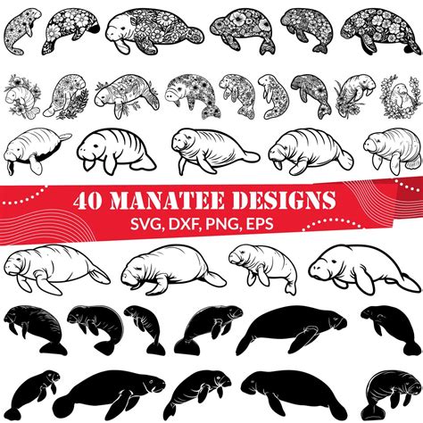 Manatee Svg Bundle Floral Manatee Svg Manatee Dxf Manatee Png