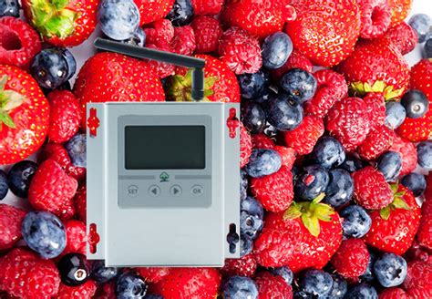 GSM SMS Smart Wireless Temperature Data Logger Freshliance Electronics Corp Ltd