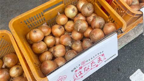 花ひろばで玉ねぎ詰め放題 コモさんと行く大人の修学旅行 YouTube