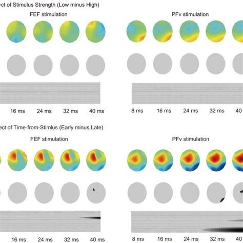 A Main Effect Of Motion Coherence On Tms Eps Same Format As In Download Scientific Diagram