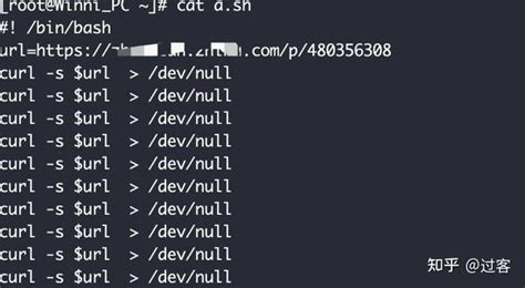 课笔记 Linux基础 shell脚本中的变量 知乎