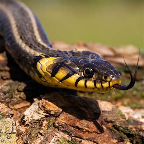 Tehzeeb Ibn Hanif Khatri Posted On Linkedin