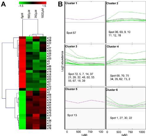 Clustering Analysis Of The Differentially Expressed Proteins Under Cr Download Scientific