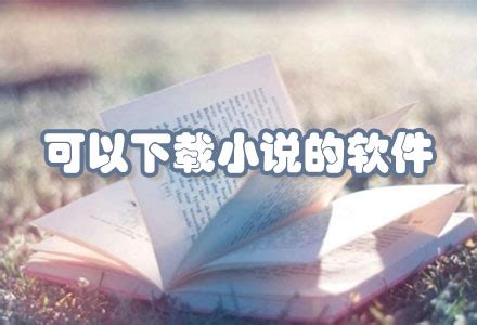 全本免费可以下载小说的软件 无广告可以下载小说的软件大全 超好玩