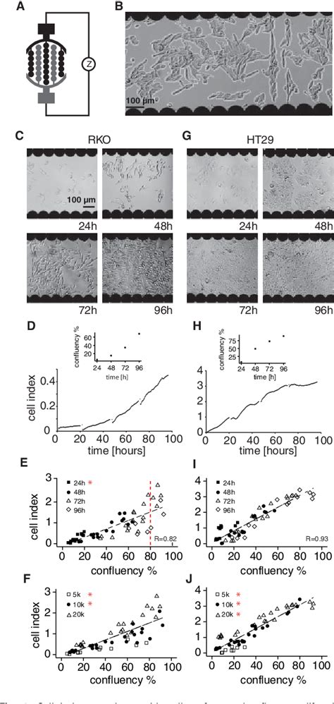 Figure 1 From Analysis Of Impedance Based Cellular Growth Assays Semantic Scholar