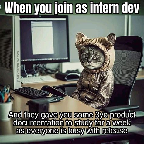 With Poor Formatting And Weird Diagrams Rprogrammerhumor