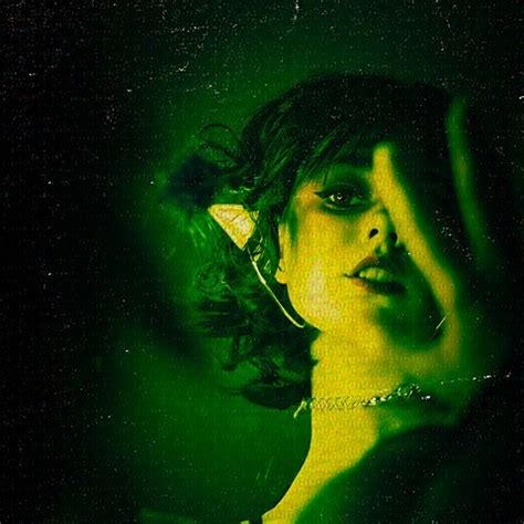 Nestee Instagram TikTok Linktree