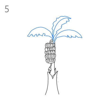 How To Draw A Banana Tree Step By Step Easy Drawing Guides Drawing Howtos