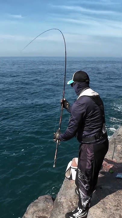 물고기 가득 찬 살림망이 떠내려온다 Youtube