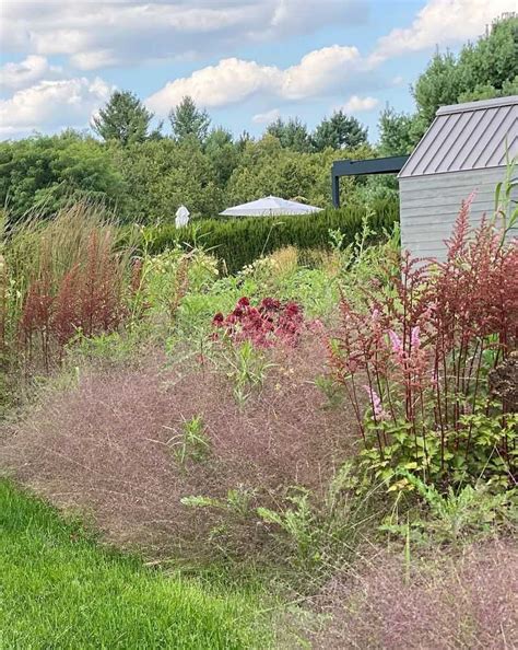 20 Native Grasses To Plant In Your Yard And 7 Ones To Avoid