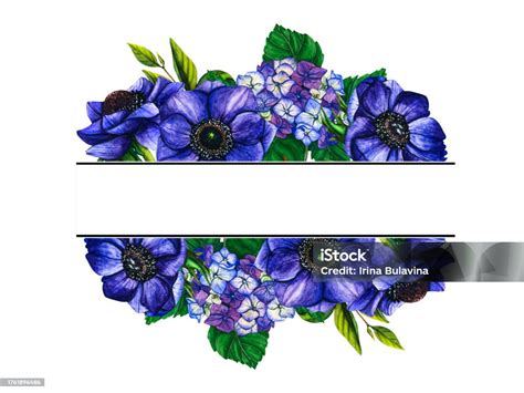 꽃 구성 프레임 패턴 인사말 카드 배경 또는 전단지에 대한 꽃다발의 그림 꽃 보라색 말미잘 수국 3월 8일 세계 여성의 날 어머니의 날 0명에 대한 스톡 벡터 아트 및 기타