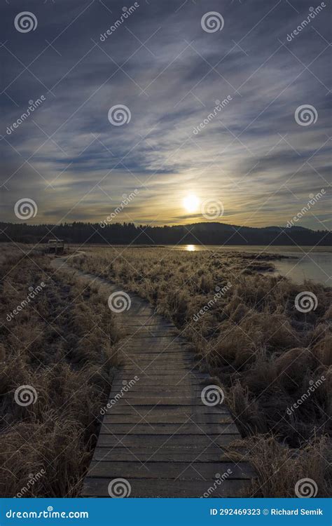 Nature Reserve Olsina Sumava National Park Czech Republic Stock Image Image Of National