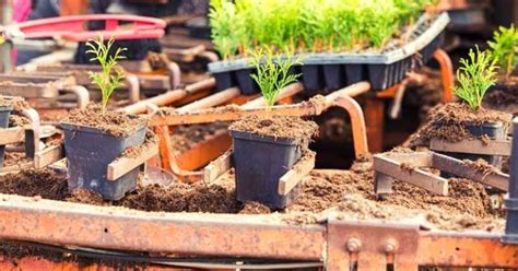 Do Plant Cells Have Cytoskeleton Functions And Structure The Gardeners
