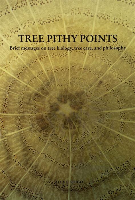 Tree Pithy Points Di Alex Shigo Agri Consult
