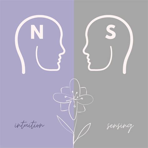 Type Preferences Sensing Or Intuition Mbti Intuition Mbti Mbti Charts