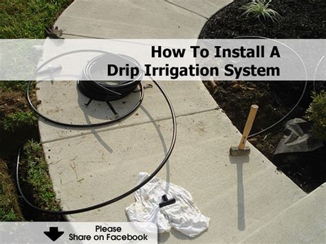How To Install A Drip Irrigation System
