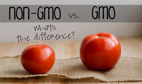 Gmo Vs Non Gmo Tomatoes Fully Explained