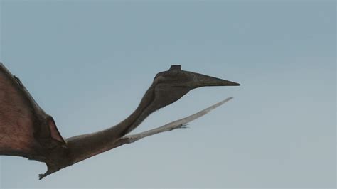 A Giant Pterosaur Quetzalcoatlus Prehistoric Planet Clipcafe