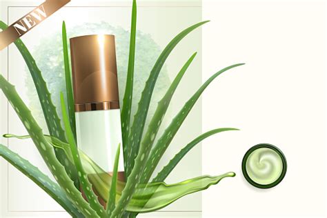 카탈로그 매거진 용 화장품 용 디자인 광고 포스터 화장품 패키지 디자인 보습 크림 젤 바디 로션 알로에 베라 추출 물 3차원 형태에 대한 스톡 벡터 아트 및 기타 이미지