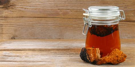 자작나무 버섯 Chaga에서 차 치유 민속 의학에서 사용 된다 가을에 대한 스톡 사진 및 기타 이미지 가을 갈색 건강관리와 의술 Istock