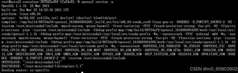 在linux上升级安装openssl3 0 csdn博客
