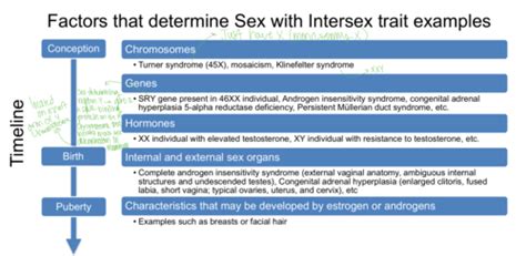 Dsm 5 Classification For Gender Dysphoria And Sexual Development