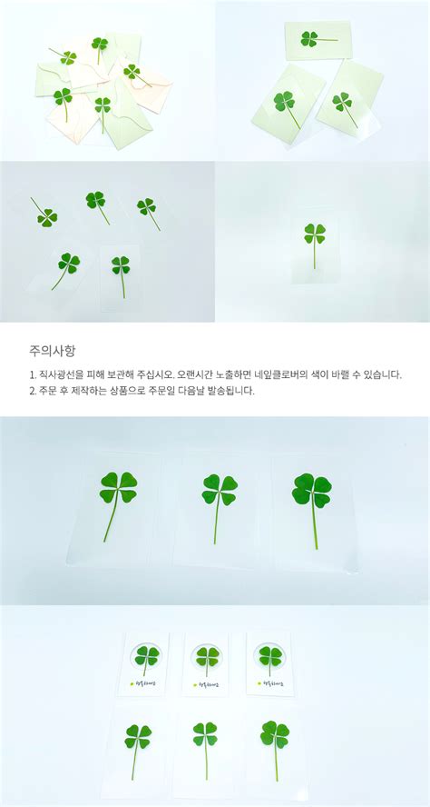 카카오톡 선물하기