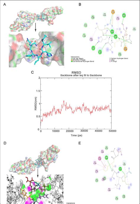 Structural Biological Analysis Of The Binding Mode Of The H1 Peptide