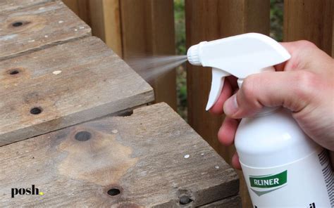 Best Woodworm Treatment For Your Timber Posh Living Magazine