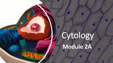 SOLUTION Biosci Module Cytology And Histology Studypool