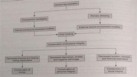 Myra Estrin Levine Ppt Pptx