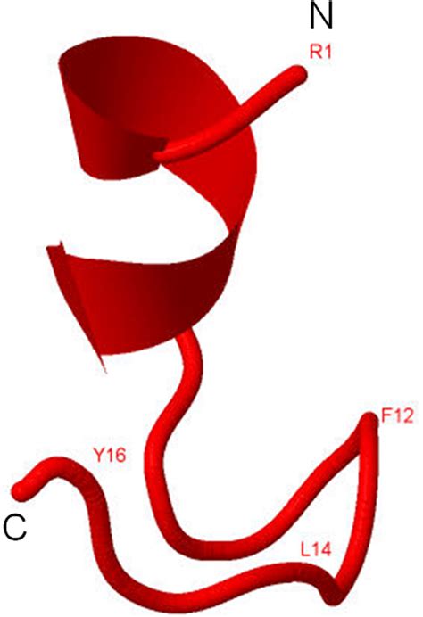 Three Dimensional Structure Analysis Of Kiss 1 Peptide Using Pep Fold Download Scientific