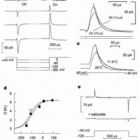 Voltage Dependent Capacitance In Isolated Membrane Patchesa Membrane
