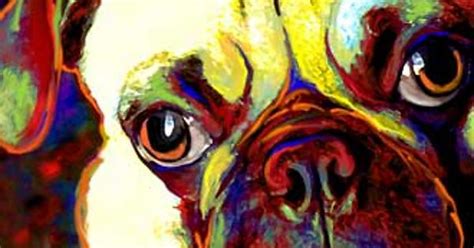 Some Pug Stuff Album On Imgur