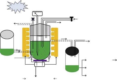3 Schematic Description Of Dual Photobioreactor System For Solar Energy