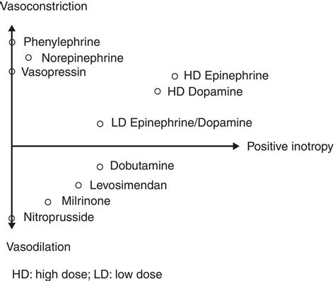 21 Hemodynamic Management Anesthesia Key