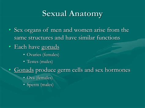 PPT Chapter Five PowerPoint Presentation Free Download ID 2944951