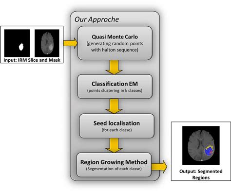 Segmentation Flowchart Color Figure Can Be Viewed At Download