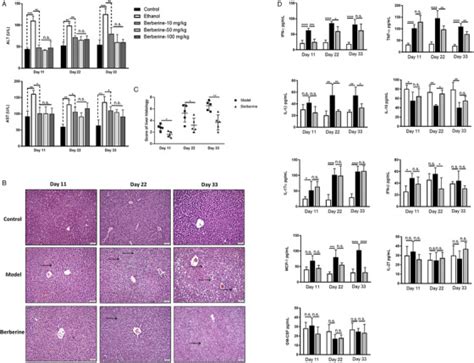 Modulation Of Gut Microbiota Mediates Berberine‐induced Expansion Of Immuno‐suppressive Cells To