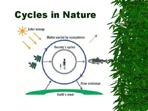 Cycles In Nature Cycles In Nature Where Matter