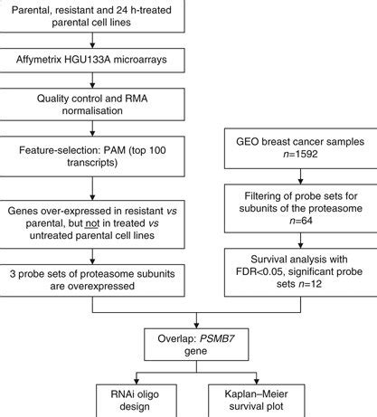 Overview Of The Statistical Analysis Download Scientific Diagram