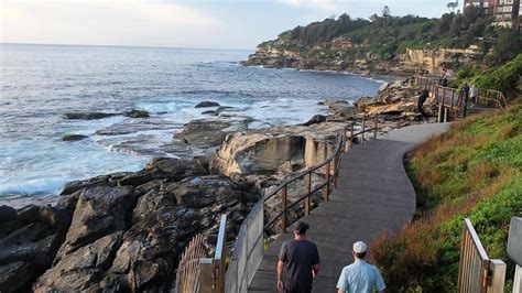 Unlock Sydney S Two Best Kept Secrets With A Local Trans Companion